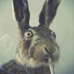 Mezcal Magic & The 400 Rabbits – The New City Witches Cocktail Coven