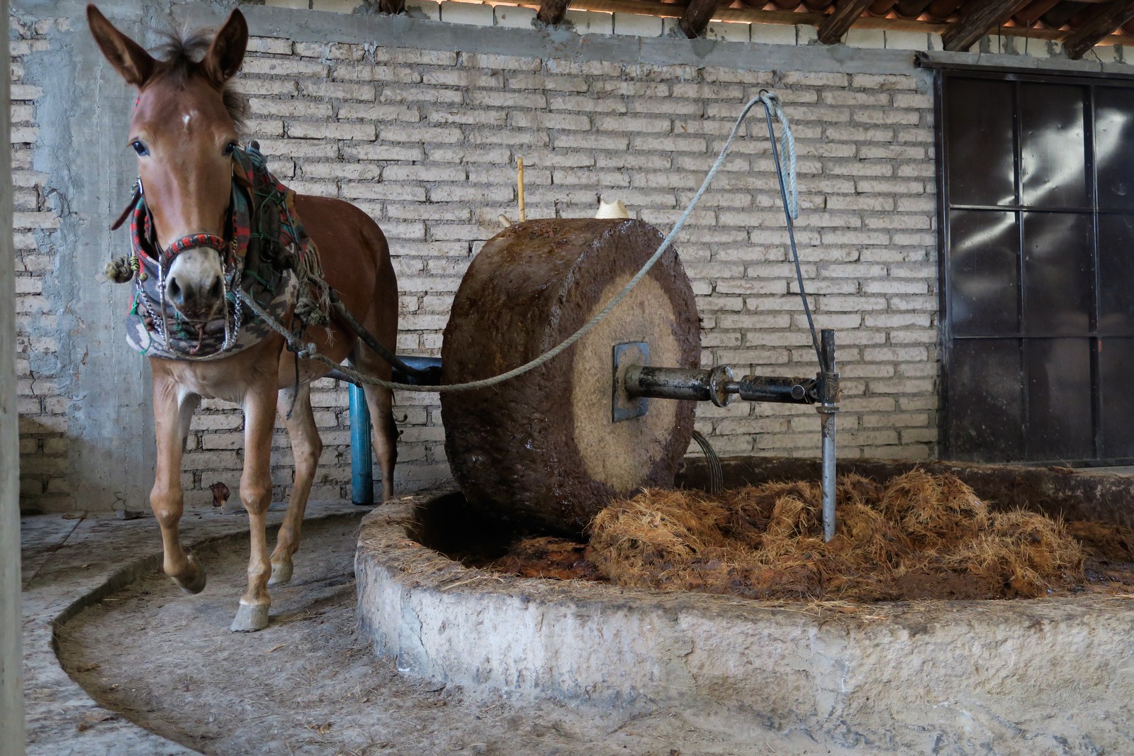 Mezcal Magic & The 400 Rabbits – The New City Witches Cocktail Coven